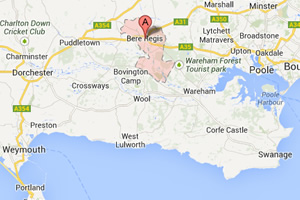 Bere Regis Chimney Sweep - The Chimney Keepers