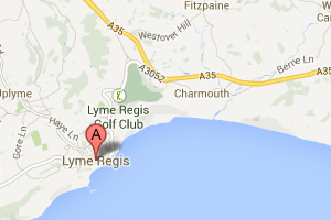Lyme Regis Chimney Sweep - The Chimney Keepers